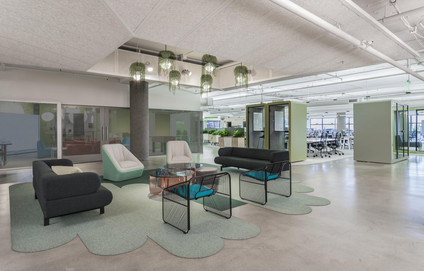 iRhythm - The Collective